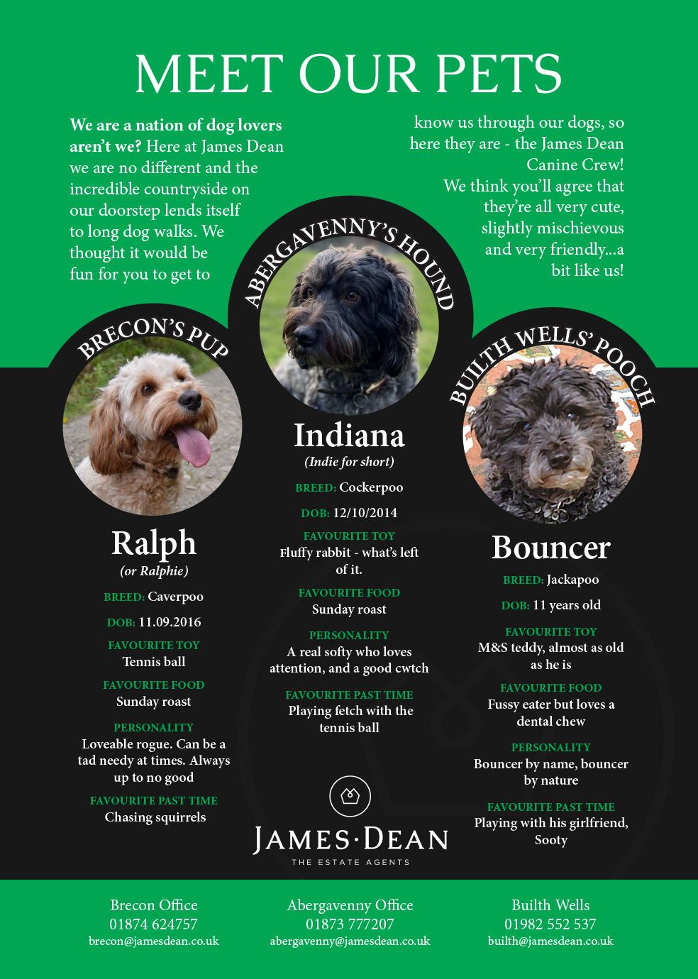Meet our canine crew | James Dean